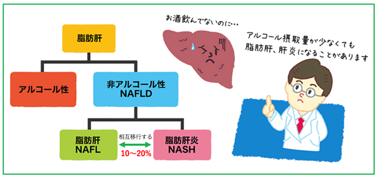 肝機能障害について②〜NAFLDについて〜 | 浅草きずなクリニック